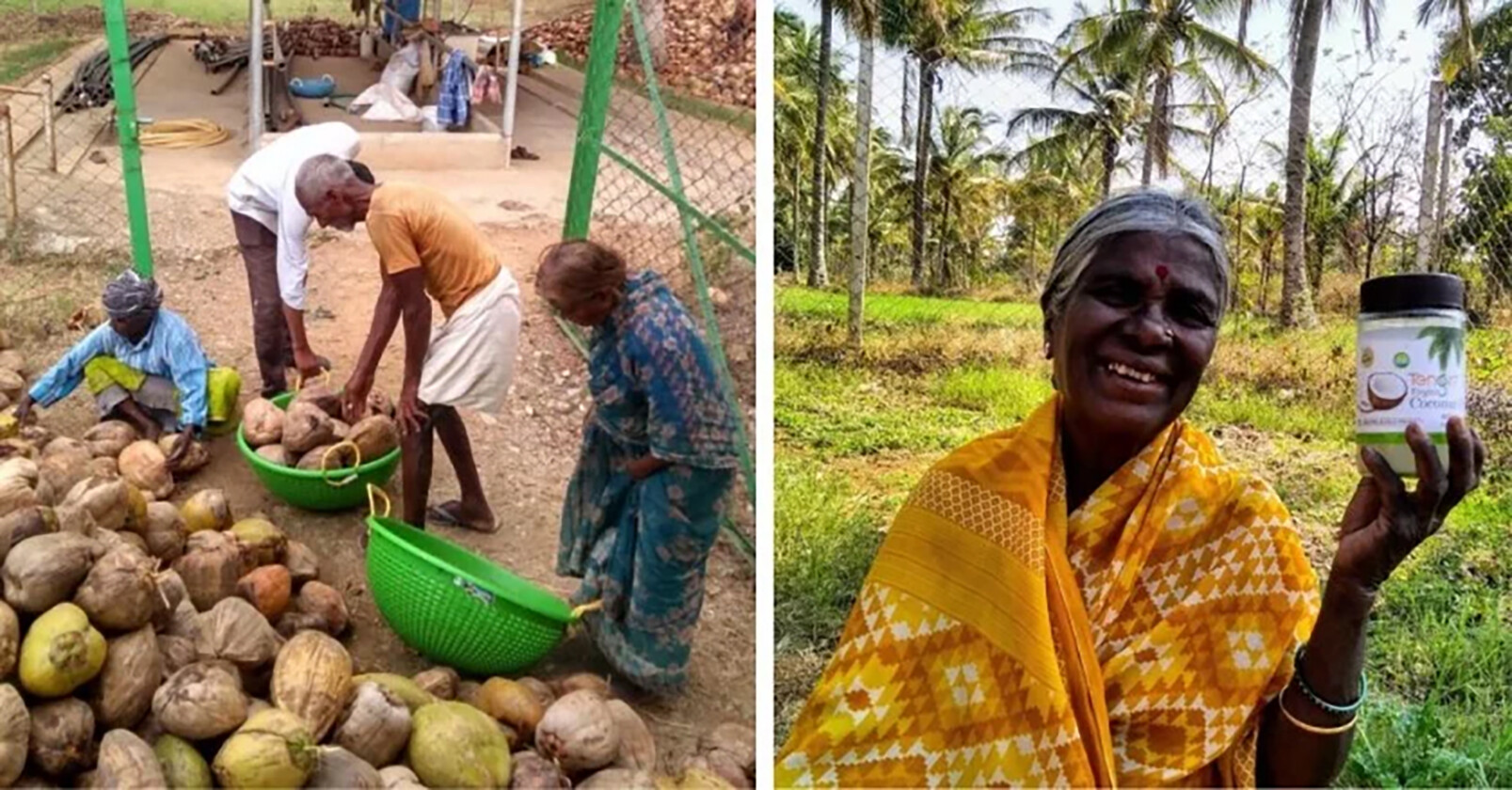 Madhu Kargund’s Lessons on Revitalizing a Coconut Community ...